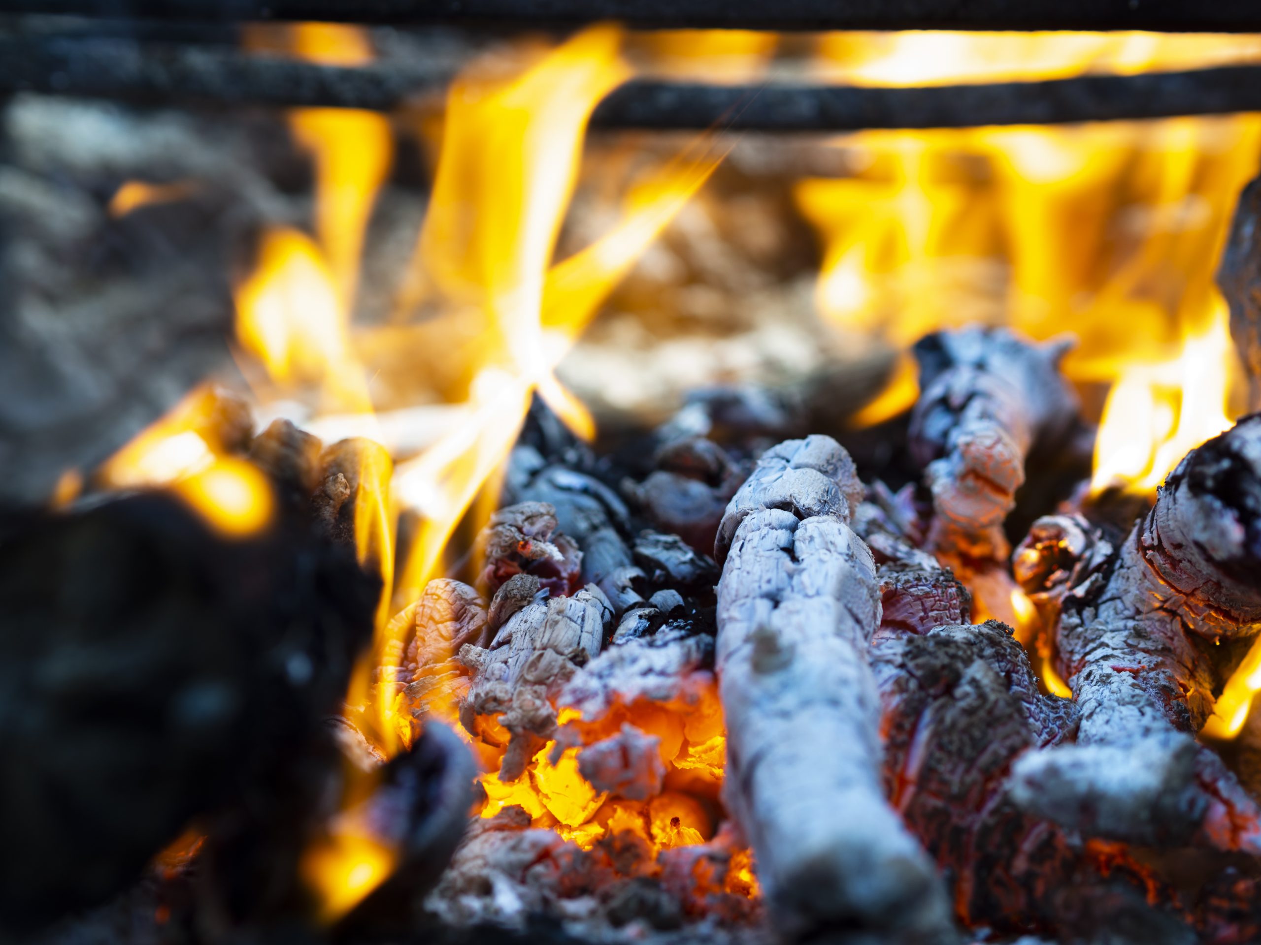 5 productos ideales para cocinar a la brasa - Tamarindos